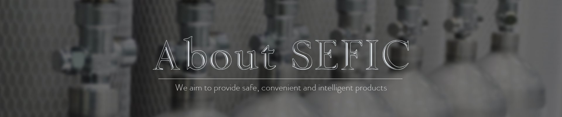About Sefic - SHANGHAI ETERNAL FAITH INDUSTRY CO.,LTD
